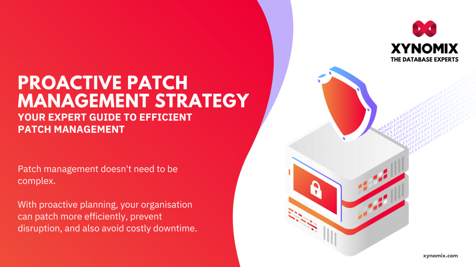 Proactive Patch Management Strategy | Xynomix The Database Experts